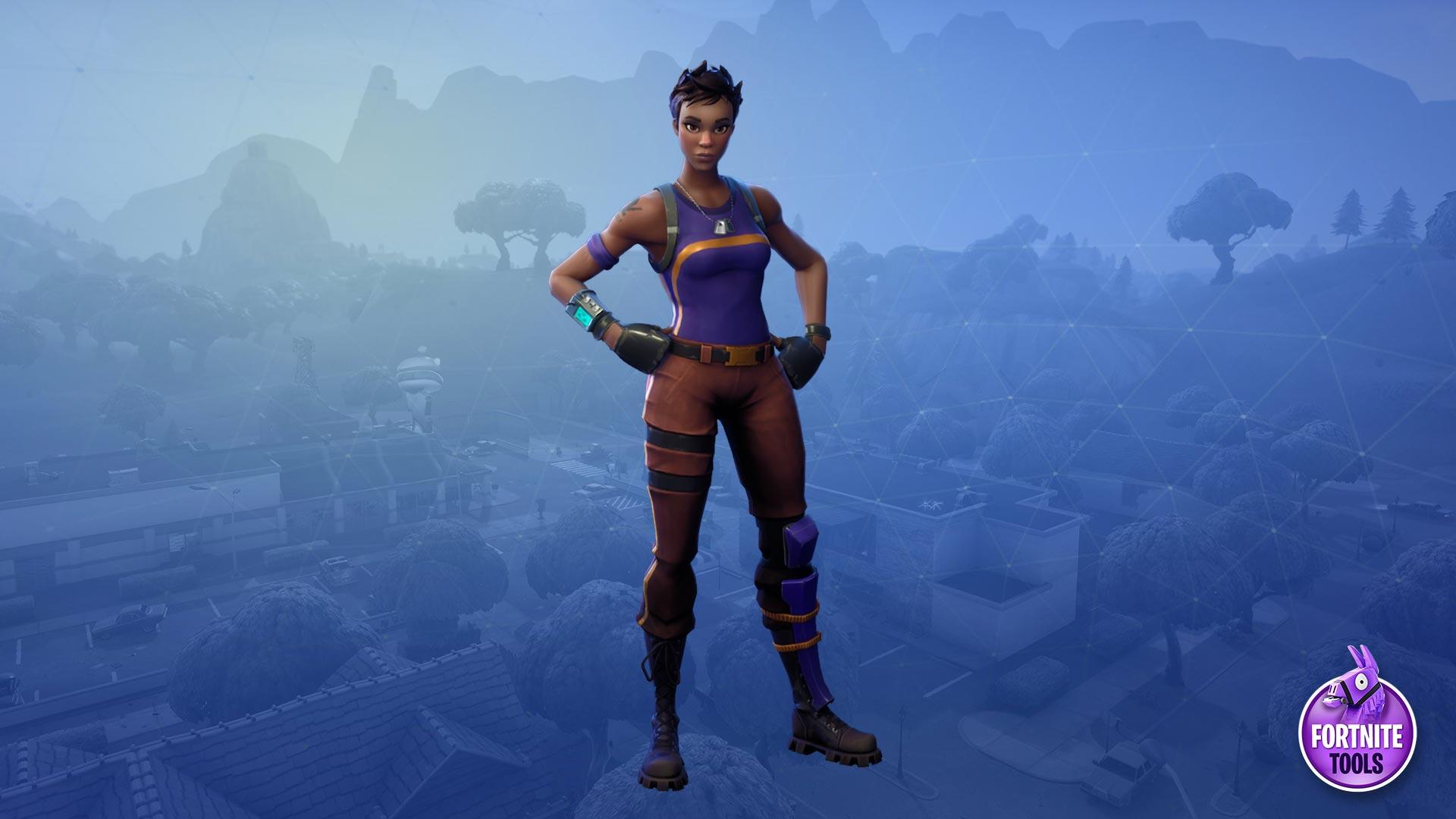 13+ Wallpapers in Tactics Officer Fortnite Category