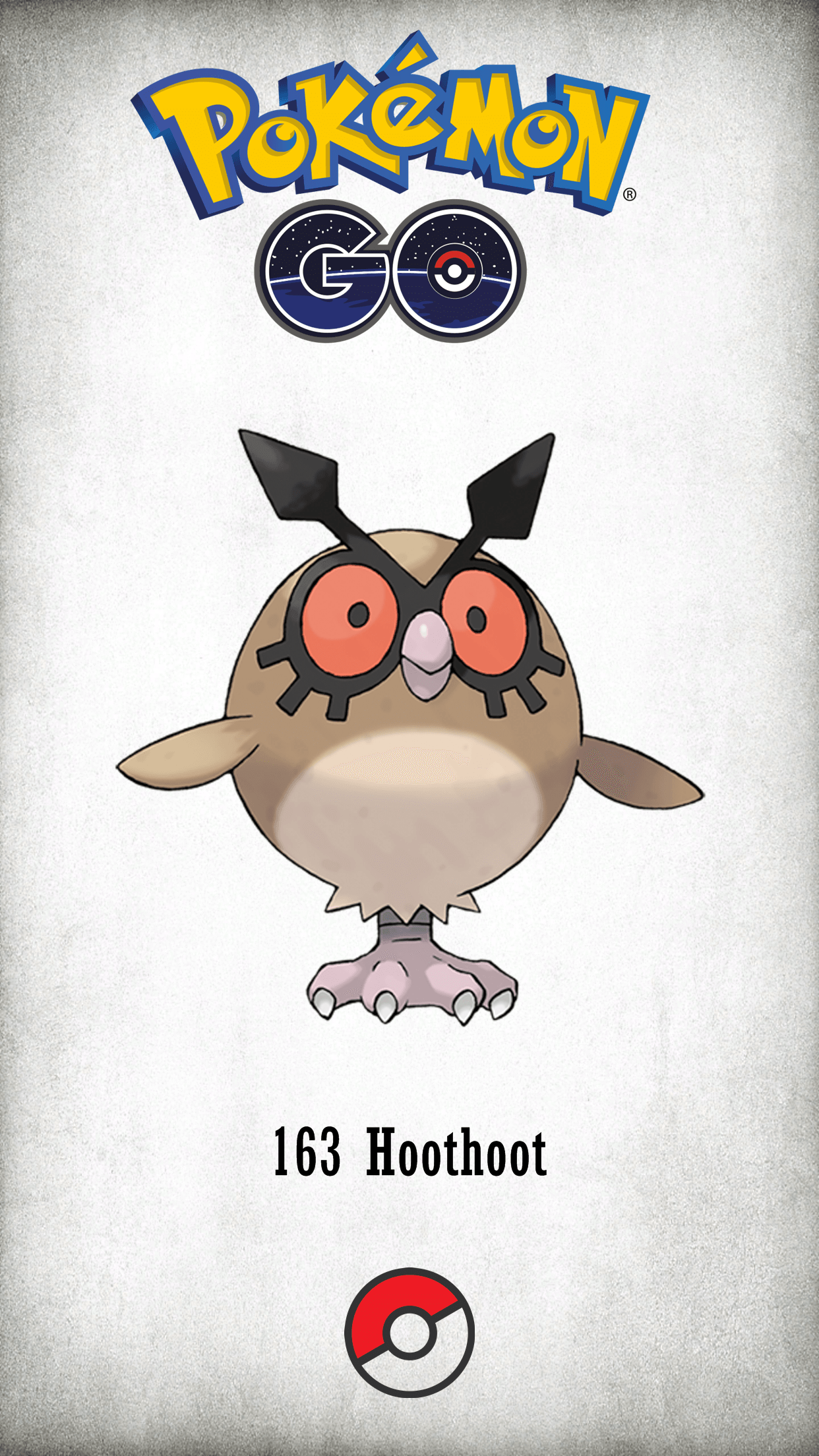 19+ Wallpapers in Hoothoot HD Category