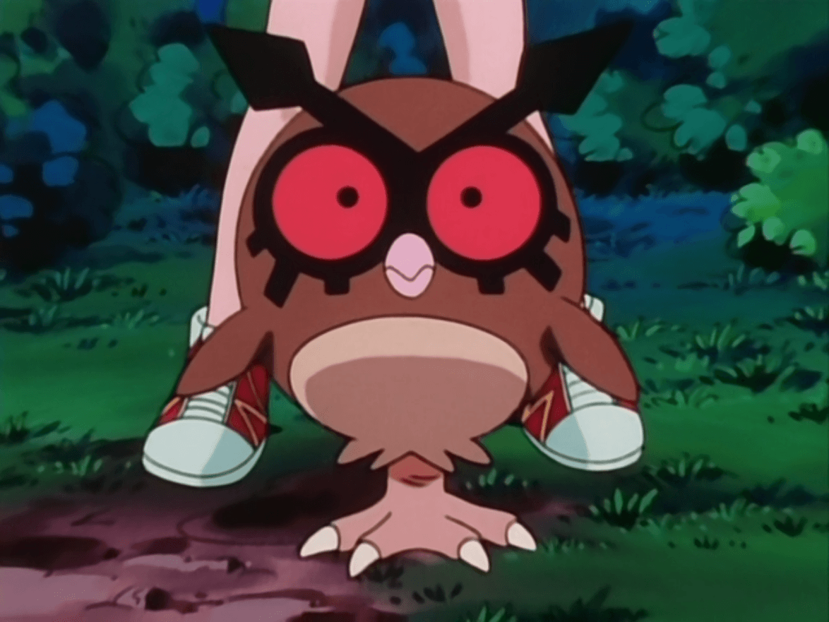 19+ Wallpapers in Hoothoot HD Category